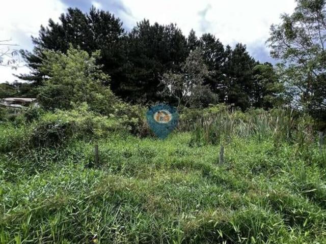 Terreno em Bolsão Lote plano e sem árvores grande porte FAZENDINHA GRANJA VIANA