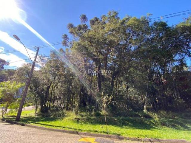 Terreno em Bosque Sinossera, Canela/RS de 734m² à venda por R$ 890.000,00