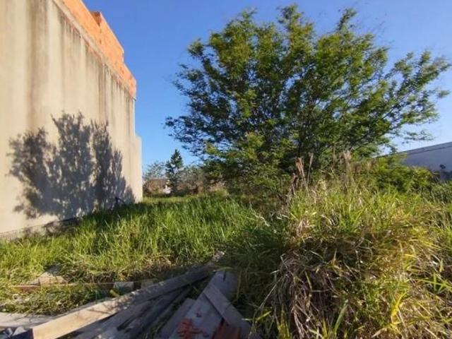 Terreno em Brigadeira