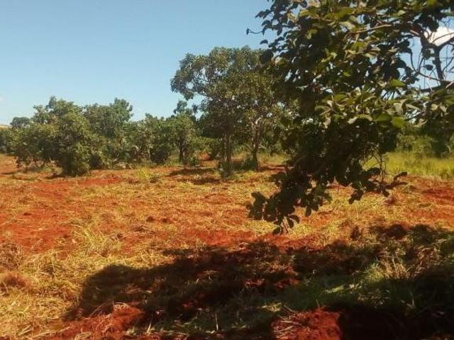 TERRENO EM CURVELO DE 5002