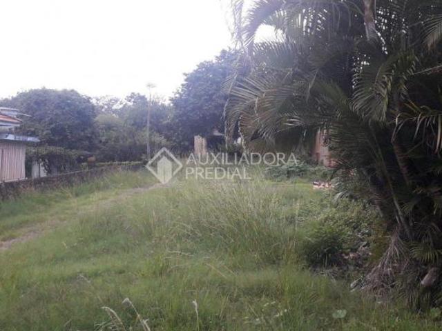 Terreno em Cachoeirinha, Desocupado, Residencial ou Comercial