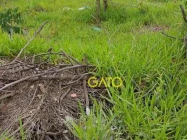 Terreno em Cajamar, Terreno no Polvilho em Cajamar/SP