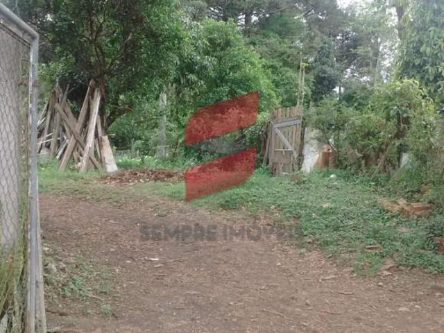 Terreno em Cajuru, Curitiba/PR de 3125m² à venda por R$ 4.000.000,00