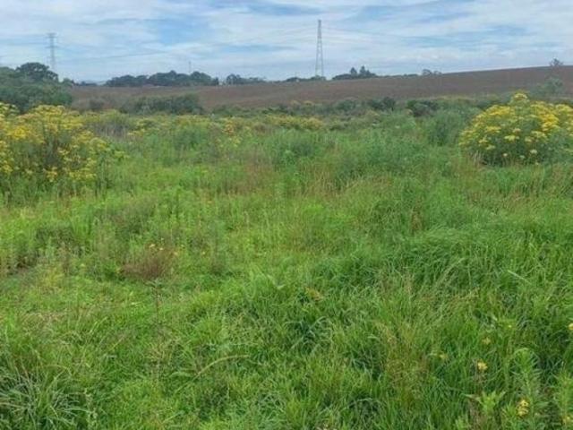 Terreno em Campina Do Taquaral, Campo Largo Da Roseira São José Dos Pinhais /PR de 10m² à venda por