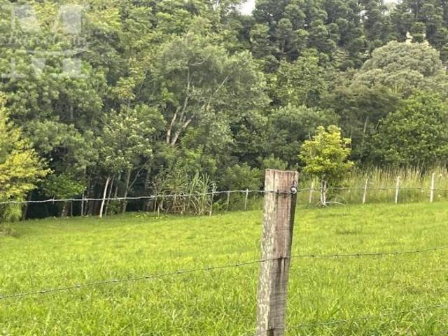 TERRENO EM CAMPO MAGRO PLANO COM 2000 M2 EXCELENTE LOCALIZAÇÃO JUNTINHO DE SANTA FELICIDADE