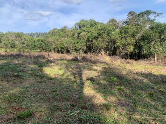 Terreno em Campo Largo da Roseira, São José dos Pinhais/PR de 5000m² à venda por R$ 370.000,00
