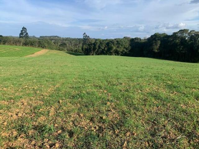 Terreno em Campo Largo da Roseira, São José dos Pinhais/PR de 10m² à venda por R$ 1.300.000,00