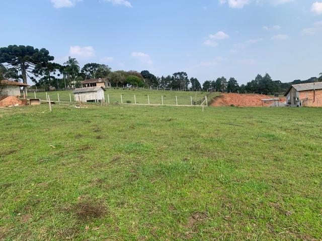 Terreno em Campo Largo da Roseira, São José dos Pinhais/PR de 2000m² à venda por R$ 219.000,00