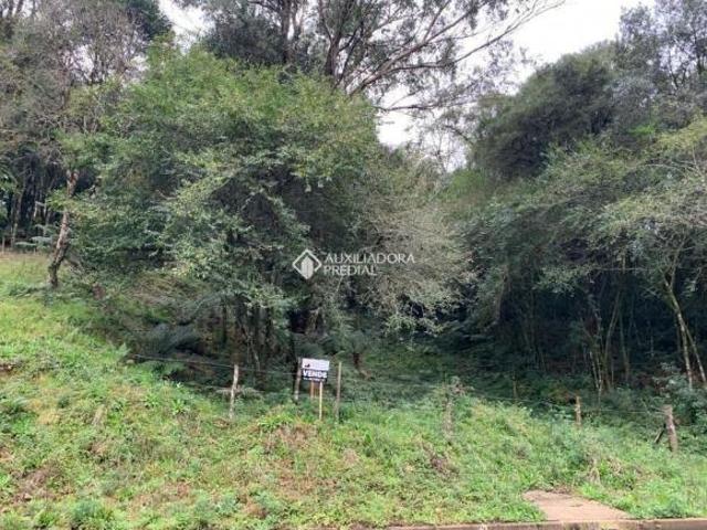 Terreno em Canela