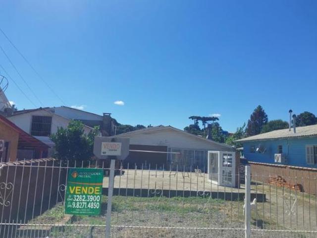 Terreno em Canela com Casa