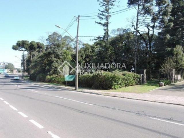 Terreno em Canela oportunidade única ótima localização