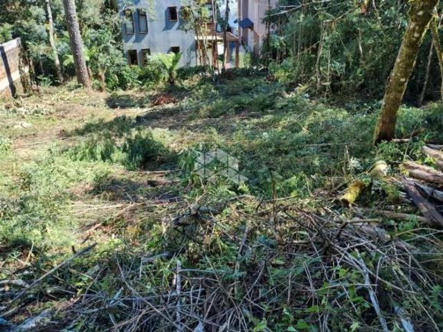 Terreno em Canela RS