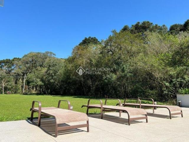 Terreno em Canela RS excelente oportunidade