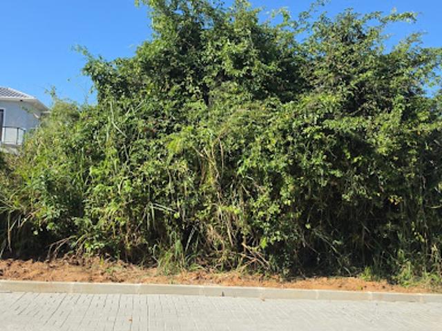 Terreno em Caravelas, Armação dos Búzios/RJ de 0m² à venda por R$ 299.900,00
