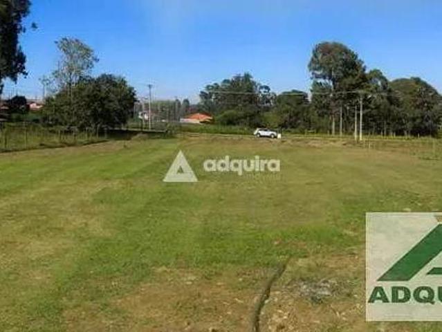 Terreno em Cará cará, Ponta Grossa/PR de 10m² à venda por R$ 750.000,00 ou para locação R$ 2.500,00/
