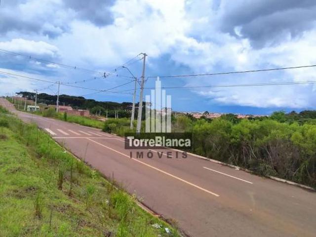 Terreno em Cará cará, Ponta Grossa/PR de 10m² à venda por R$ 115.000,00