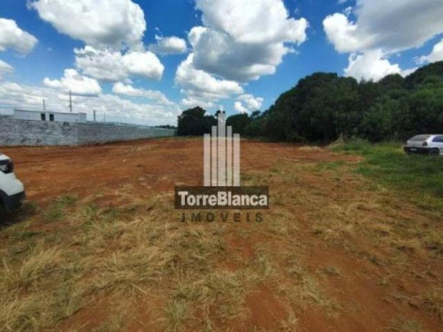 Terreno em Cará cará, Ponta Grossa/PR de 10m² à venda por R$ 1.990.000,00