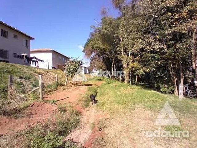 Terreno em, Carambeí/PR de 10m² à venda por R$ 500.000,00