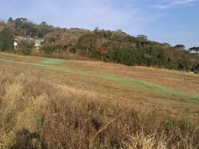 Terreno em Caucaia do Alto com alto potencial – clique e saiba mais