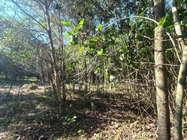 Terreno em Caxito, Maricá/RJ de 7886m² à venda por R$ 449.000,00