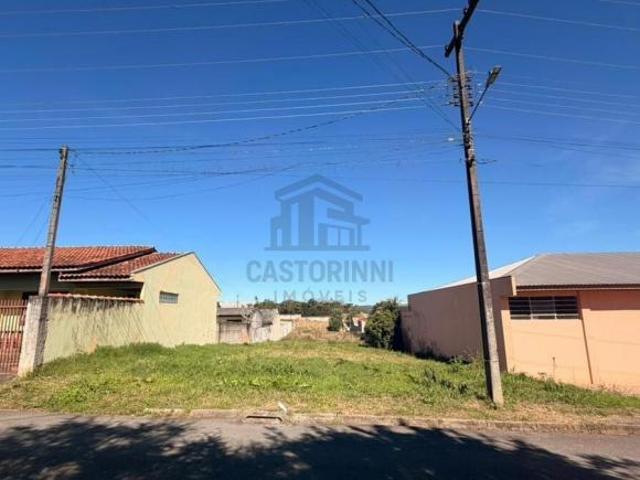 Terreno em Centro, Balsa Nova/PR