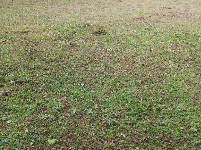 Terreno em Centro, Bertioga/SP de 0m² à venda por R$ 1.595.900,00