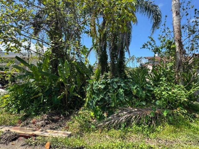 Terreno em Centro, Bertioga/SP de 0m² à venda por R$ 599.000,00