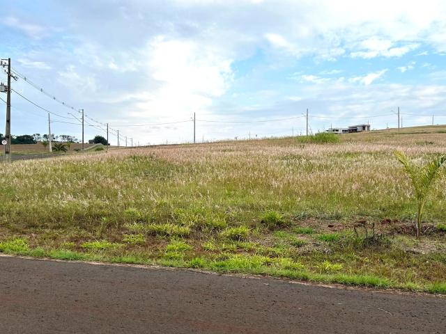 Terreno em Centro, Cambé/PR de 1527m² à venda por R$ 989.000,00