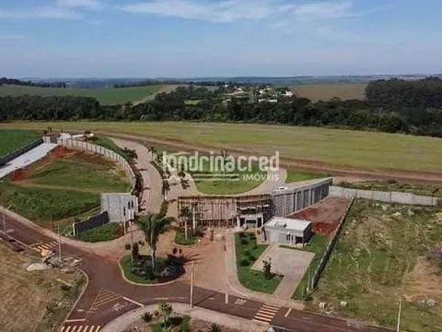 Terreno em Centro, Cambé/PR de 10m² à venda por R$ 790.000,00