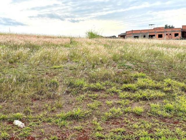 Terreno em Centro, Cambé/PR de 10m² à venda por R$ 990.000,00