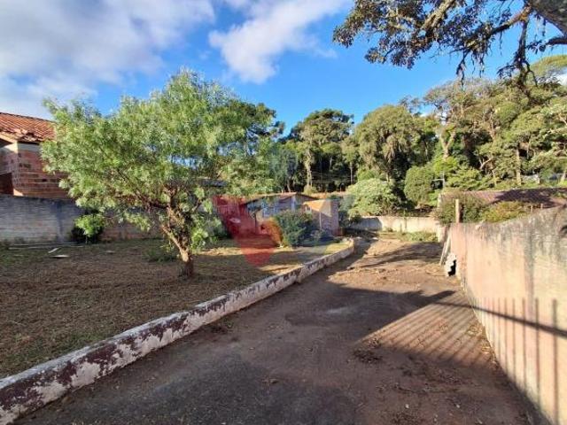 Terreno em Centro, Campo Largo/PR de 432m² à venda por R$ 210.000,00