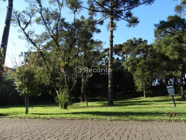 Terreno em Centro, Canela/RS de 740m² à venda por R$ 2.000.000,00