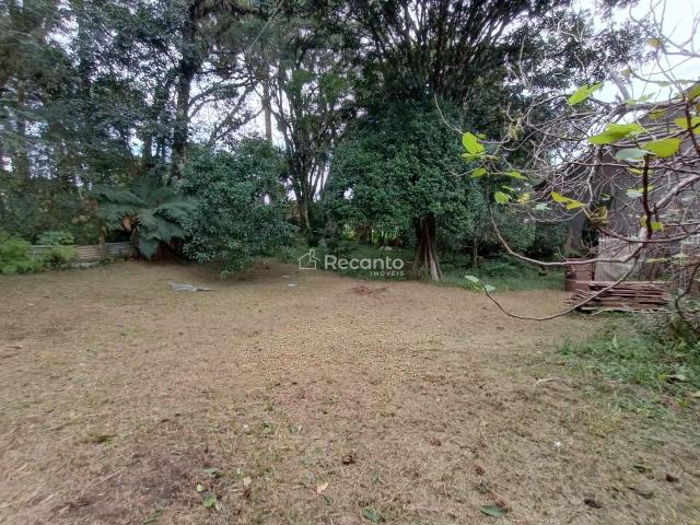 Terreno em Centro, Canela/RS de 1000m² à venda por R$ 1.799.000,00