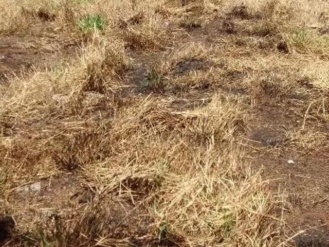 Terreno em Centro, Jaguariúna/SP de 0m² à venda por R$ 299.000,00