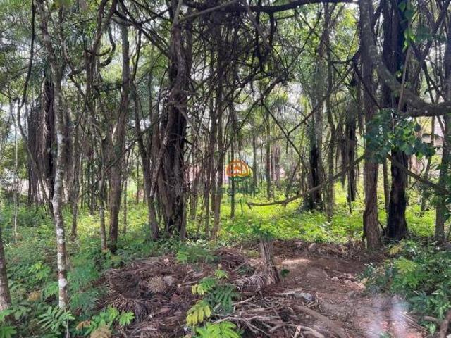 Terreno em Centro, Lagoa Santa/MG de 0m² à venda por R$ 280.000,00