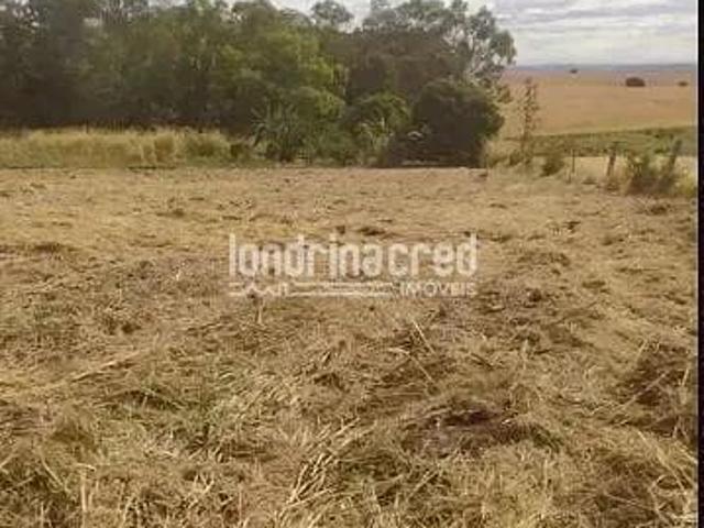 Terreno em Centro, Londrina/PR de 10m² à venda por R$ 189.000,00
