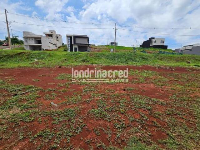 Terreno em Centro, Londrina/PR de 10m² à venda por R$ 250.000,00