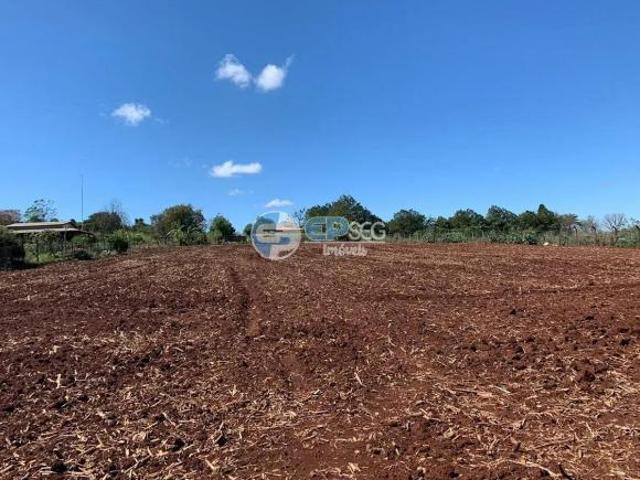 Terreno em Centro, Londrina/PR de 10m² à venda por R$ 250.000,00