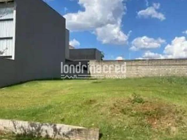 Terreno em Centro, Londrina/PR de 10m² à venda por R$ 388.000,00