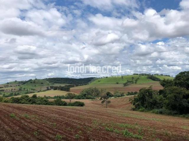 Terreno em Centro, Londrina/PR de 10m² à venda por R$ 324.900,00