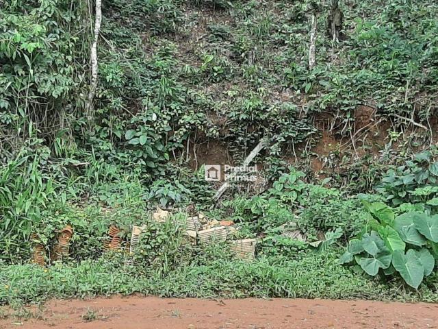 Terreno em Centro, Nova Friburgo/RJ de 0m² à venda por R$ 279.900,00