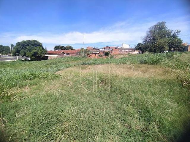 Terreno em Centro Padre Nóbrega Marília