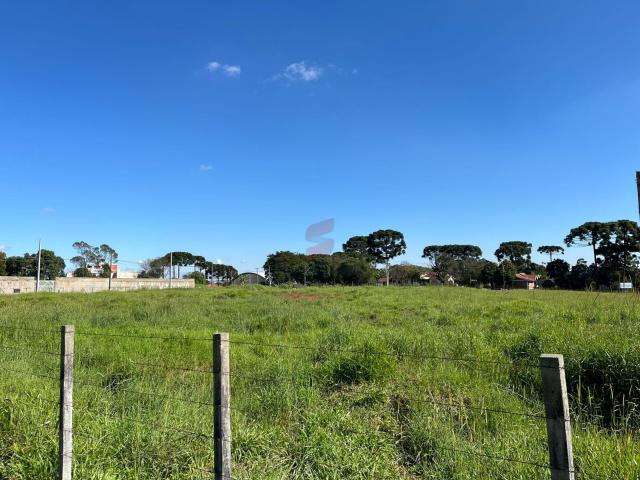 Terreno em Centro, Pinhais/PR de 5513m² à venda por R$ 8.268.755,00
