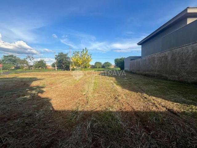 Terreno em Centro, São José do Rio Preto/SP de 462m² à venda por R$ 750.000,00