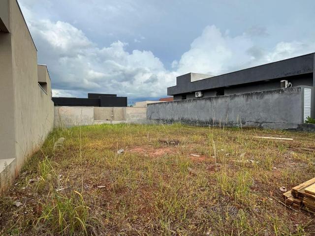 Terreno em Centro, São José do Rio Preto/SP de 276m² à venda por R$ 329.000,00