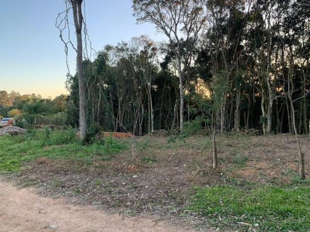 Terreno em Centro, São José dos Pinhais/PR de 10m² à venda por R$ 250.000,00
