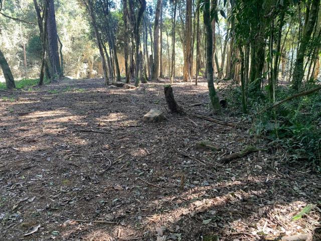 Terreno em Centro, São José dos Pinhais/PR de 10m² à venda por R$ 359.000,00
