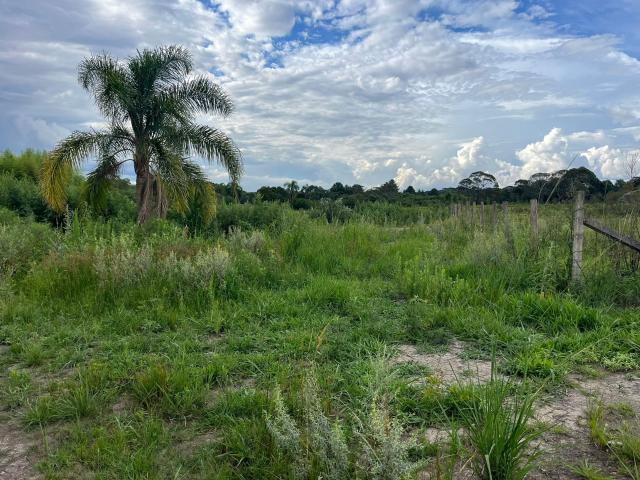 Terreno em Centro, São José dos Pinhais/PR de 20000m² à venda por R$ 564.000,00