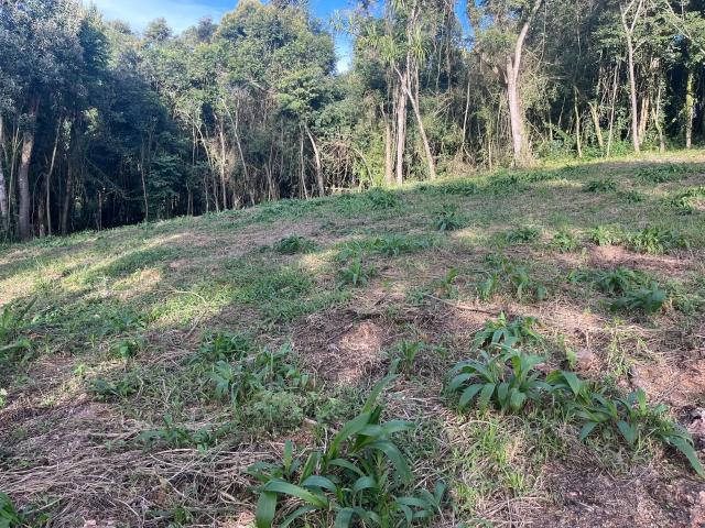 Terreno em Centro, São José dos Pinhais/PR de 2000m² à venda por R$ 149.000,00