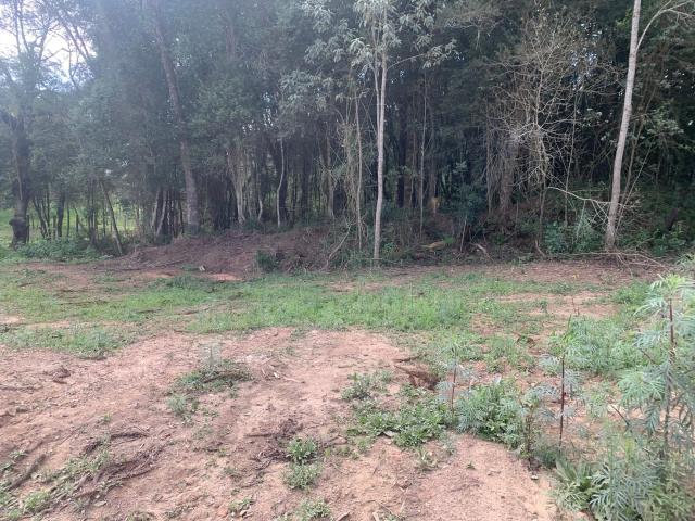 Terreno em Centro, São José dos Pinhais/PR de 4500m² à venda por R$ 349.900,00